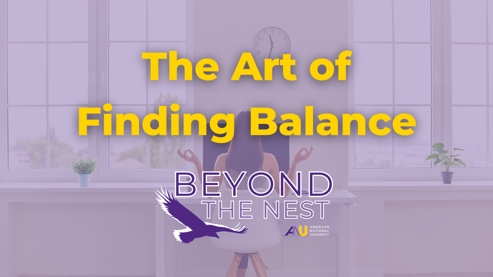 The Art of Finding Balance | American National University
